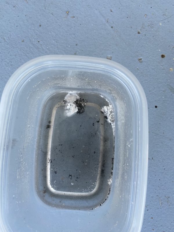 Advanced STEM Club: Dissolving Metal – Charles County Public Library