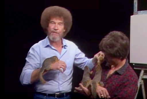 Art History Snapshot: Bob Ross – Charles County Public Library