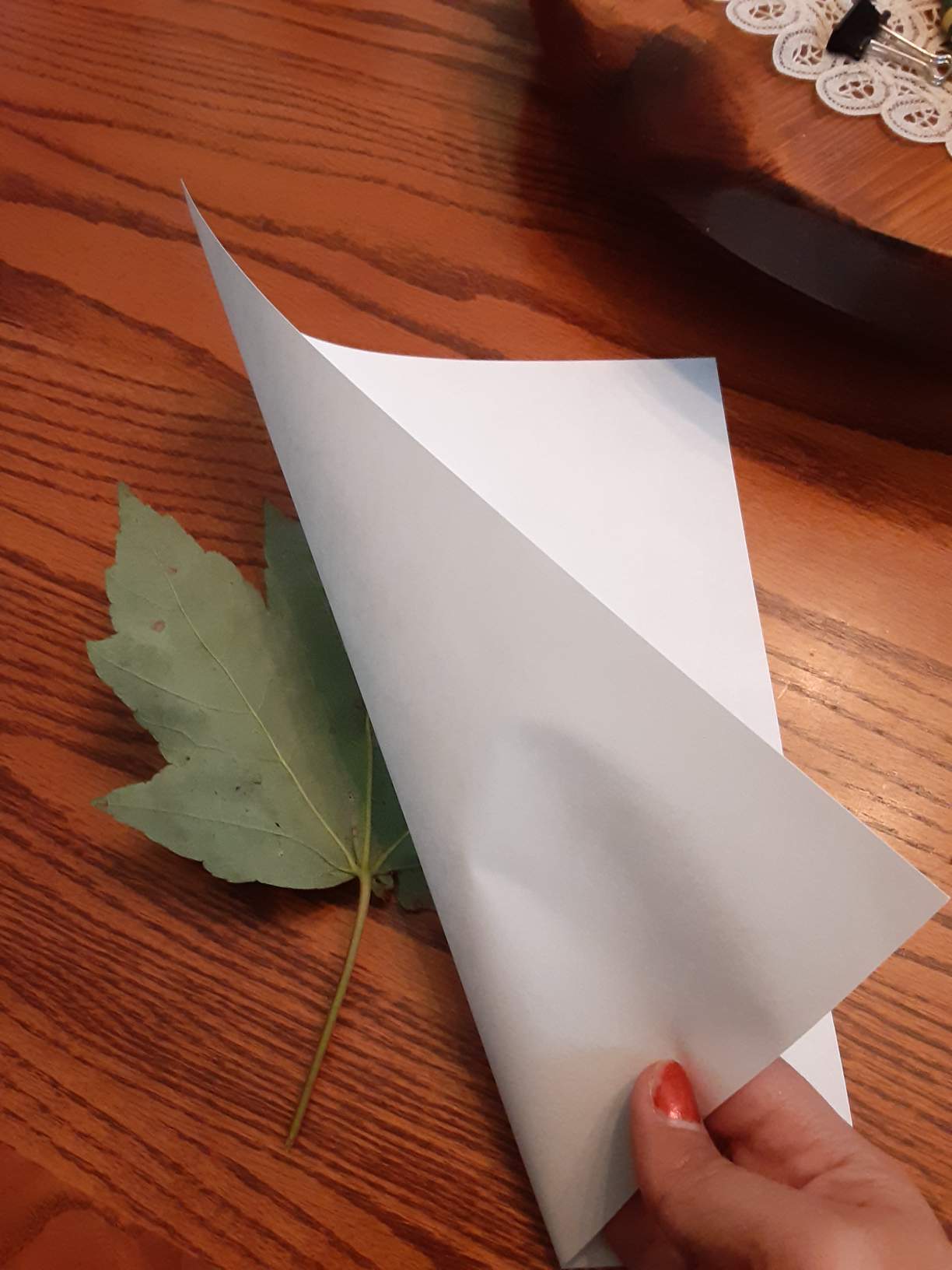 STEAM Club: Fabulous Fall Foliage! – Charles County Public Library