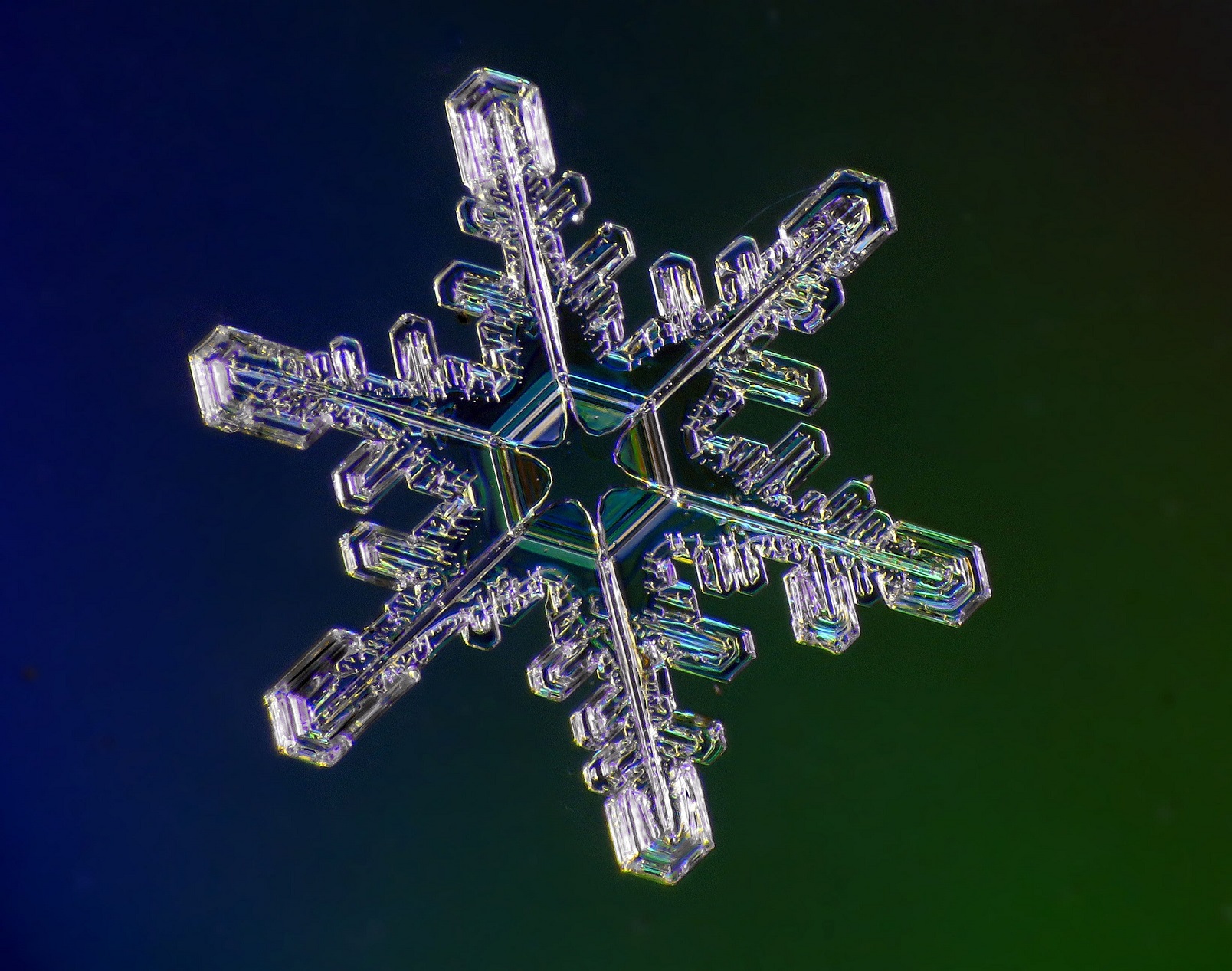 STEAM Club: Cool Crystals – Charles County Public Library