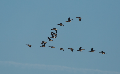 Once Upon a Story – Charles County Public Library