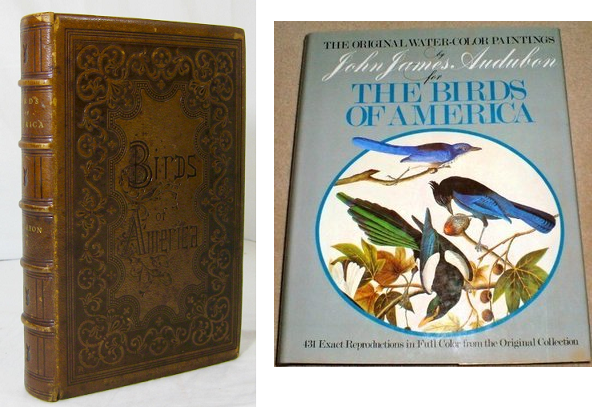 Art Exploration Teen Edition: John James Audubon – Charles County ...