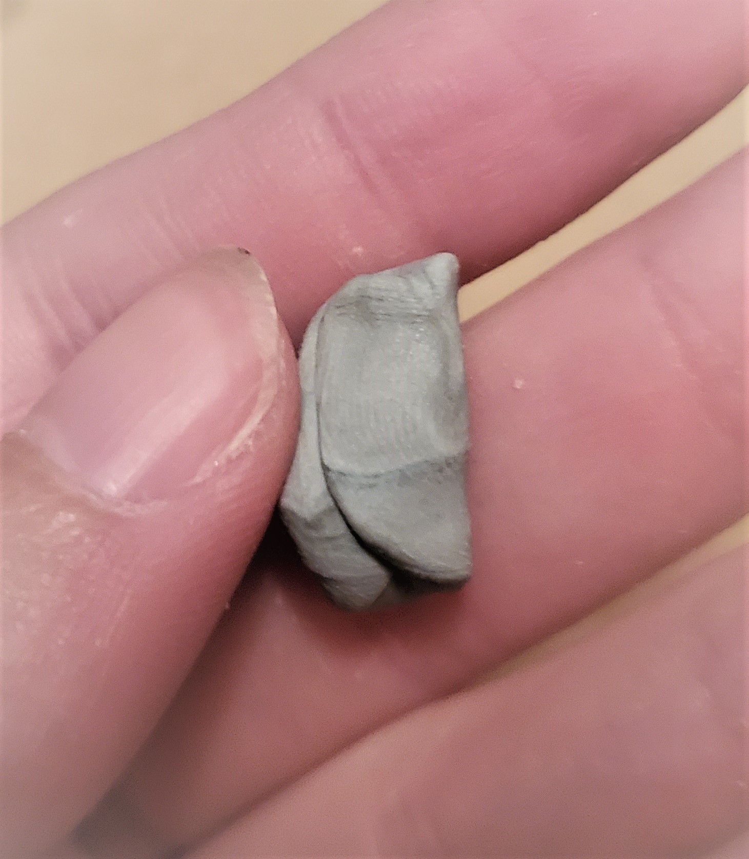 Fandom Clay! – Charles County Public Library