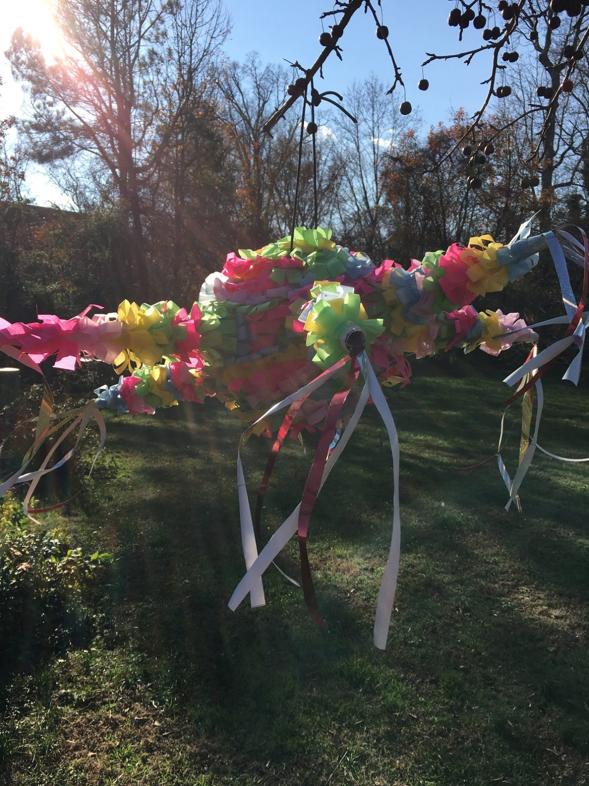 DIY Piñata – Charles County Public Library