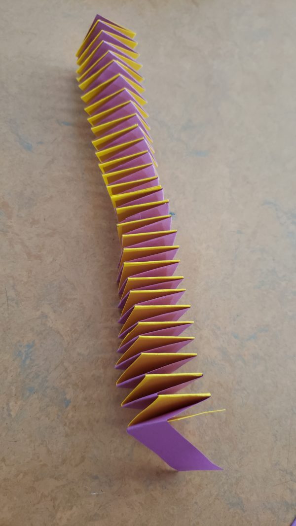 Make a DIY Zig Zag Snake – Charles County Public Library