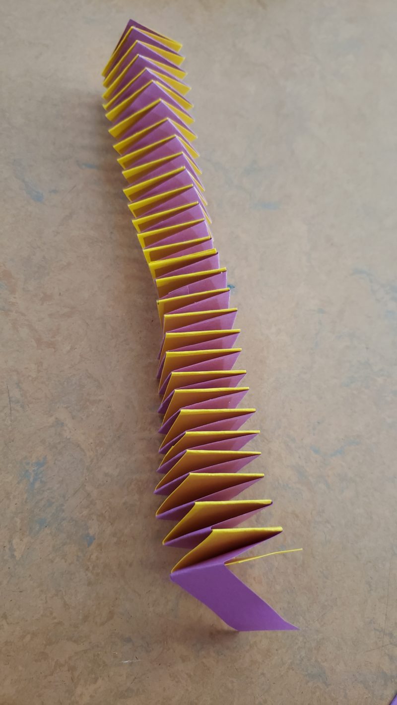 Make a DIY Zig Zag Snake – Charles County Public Library