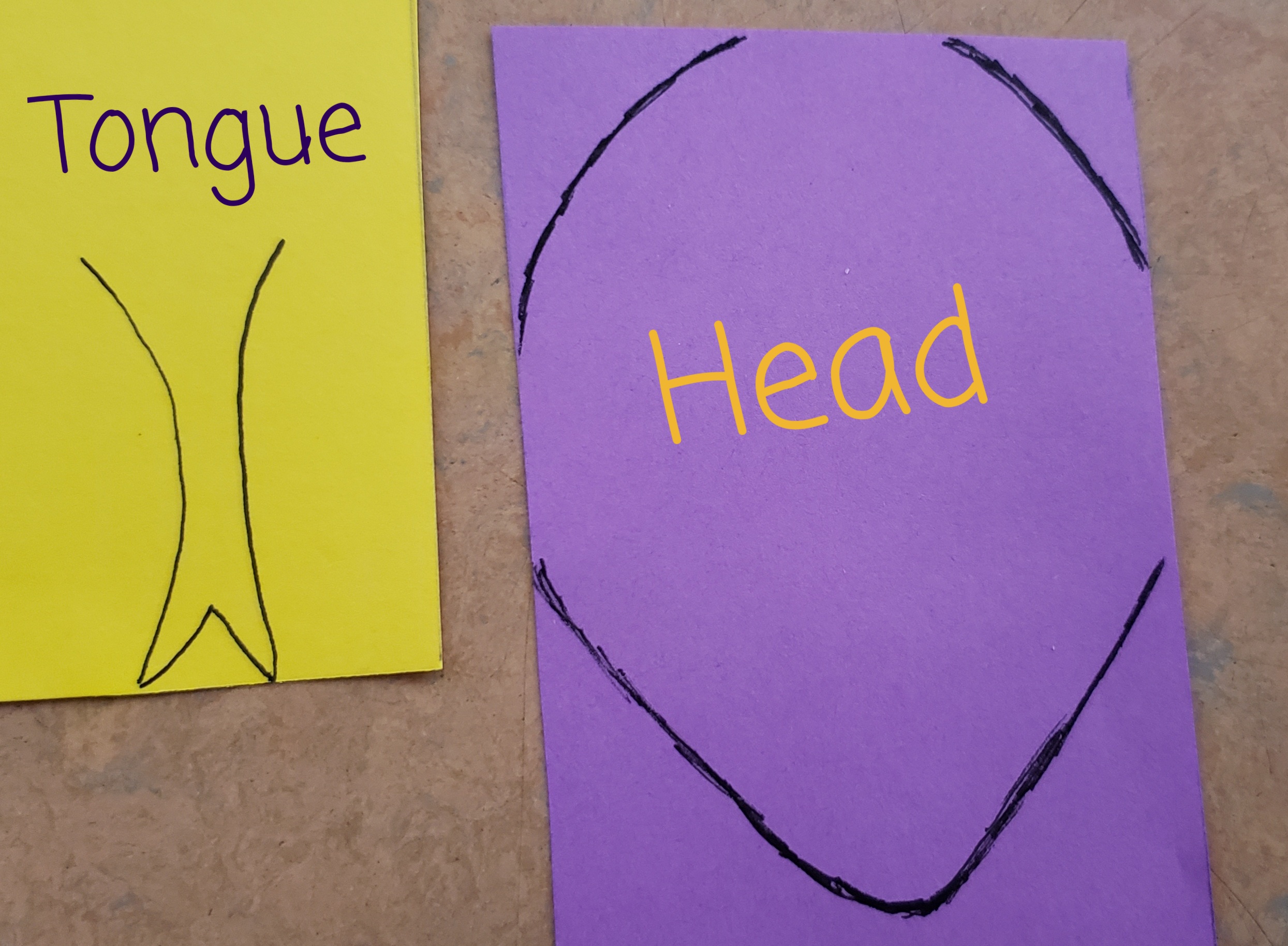 Make a DIY Zig Zag Snake – Charles County Public Library
