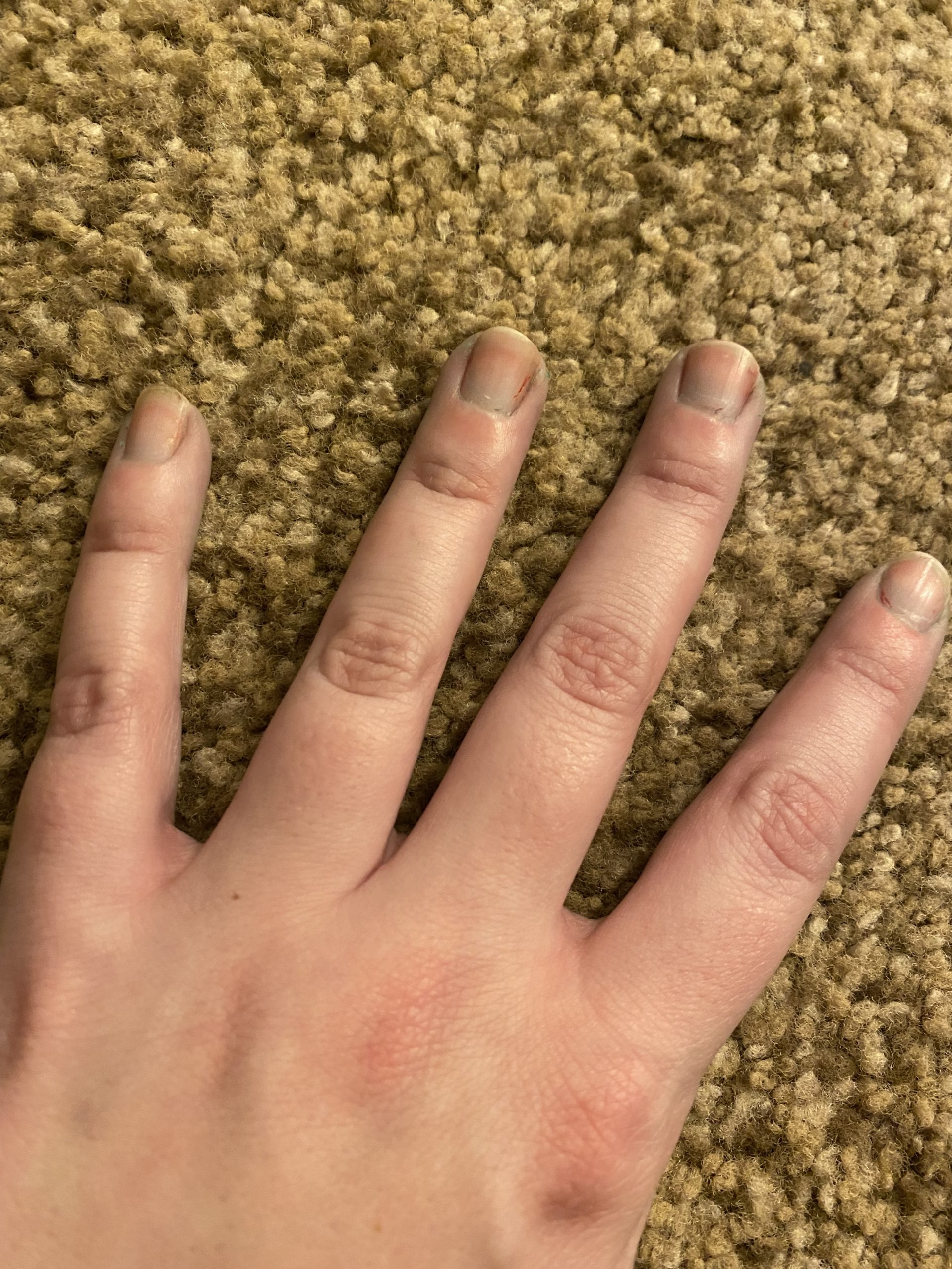 FrankenSlime – Charles County Public Library