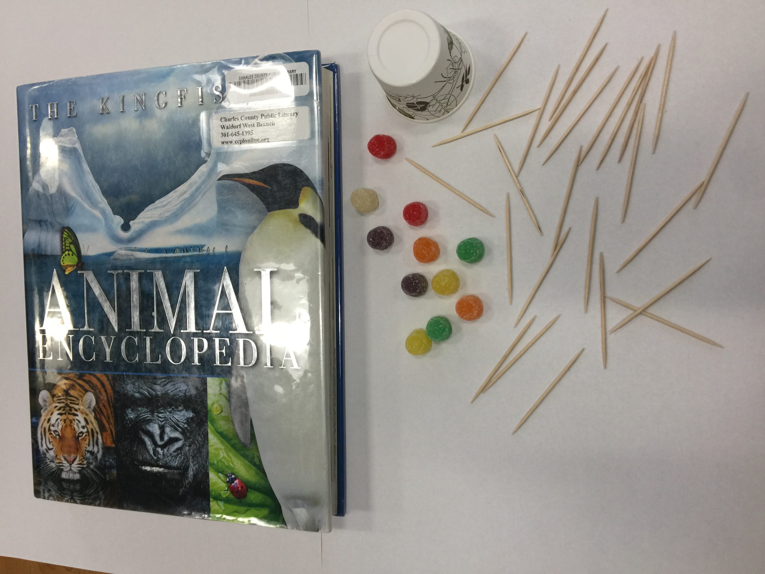 STEAM Club: Think Like an Engineer and Build a Foundation – Charles ...