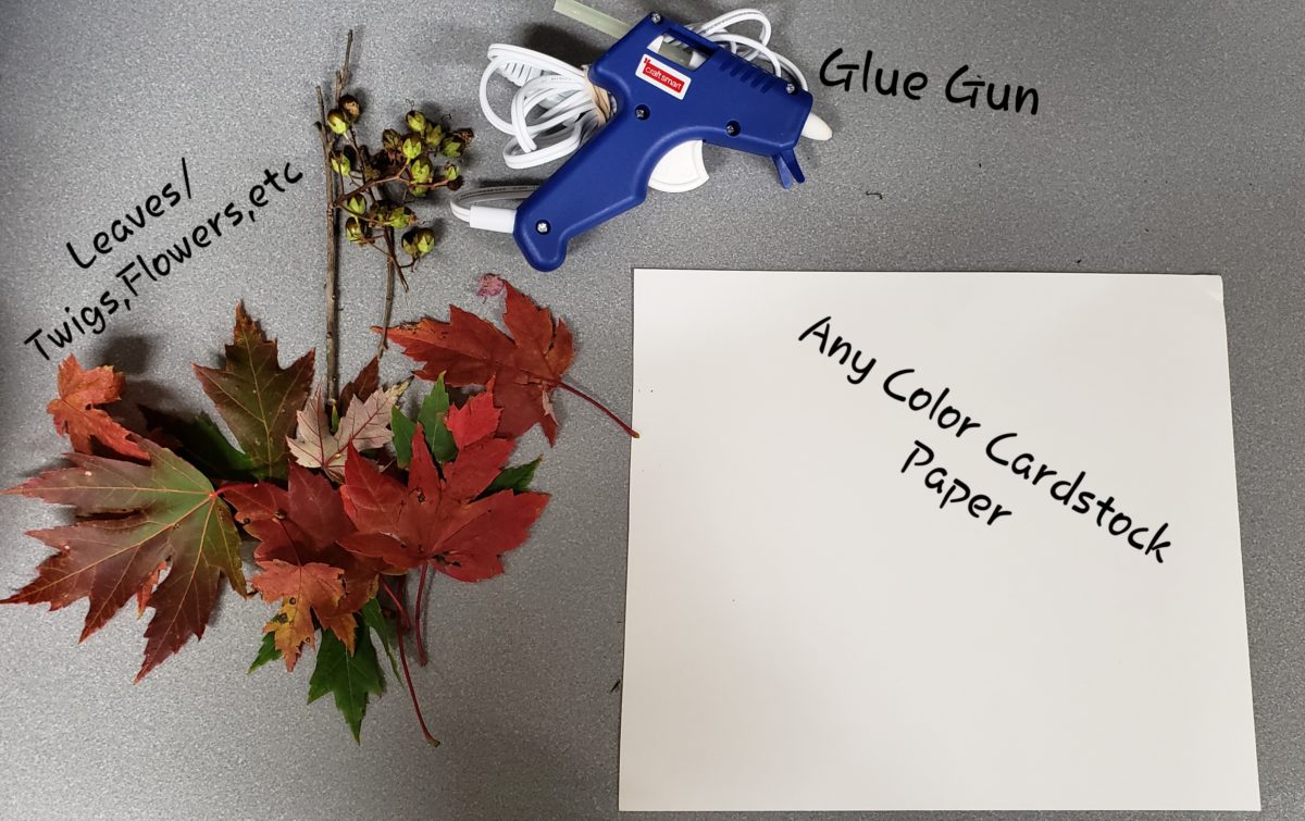 Art Junction: Fall Leaf Frame – Charles County Public Library