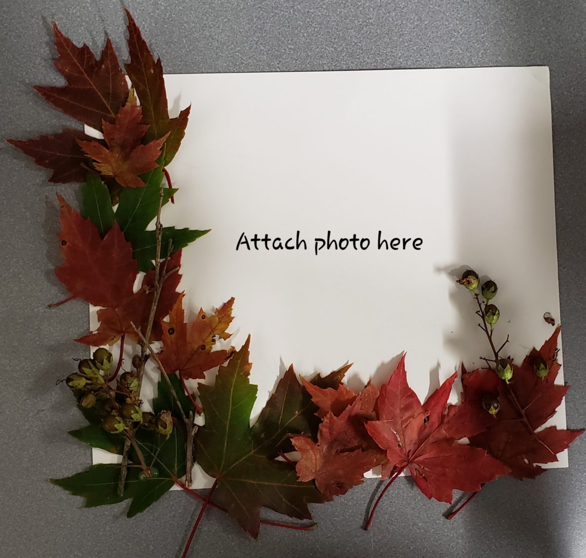 Art Junction: Fall Leaf Frame – Charles County Public Library