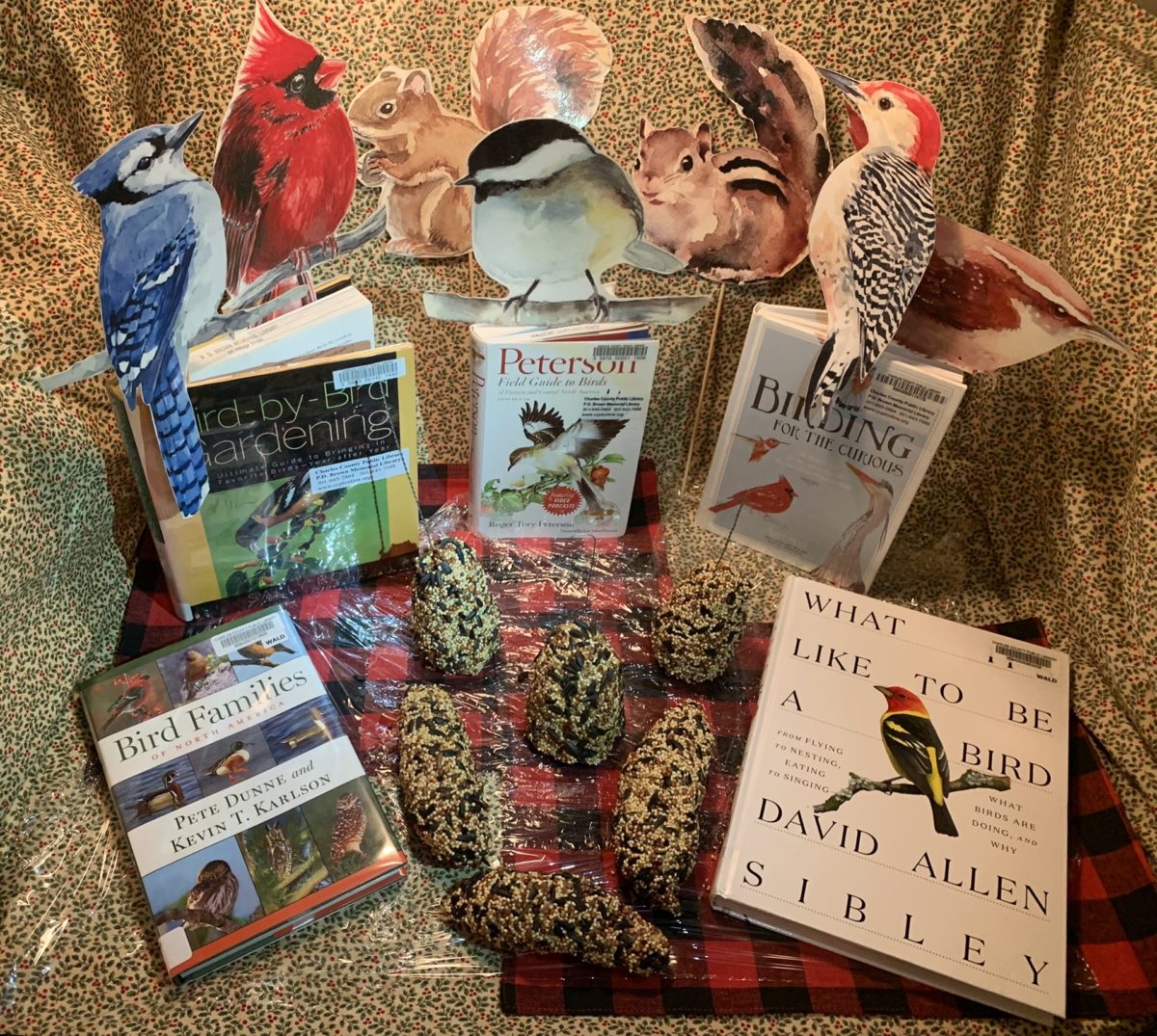 Pine Cone Bird Feeder – Charles County Public Library