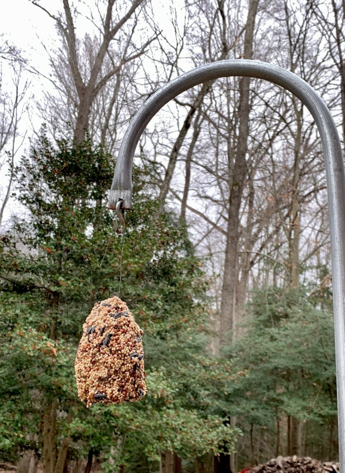 Pine Cone Bird Feeder – Charles County Public Library