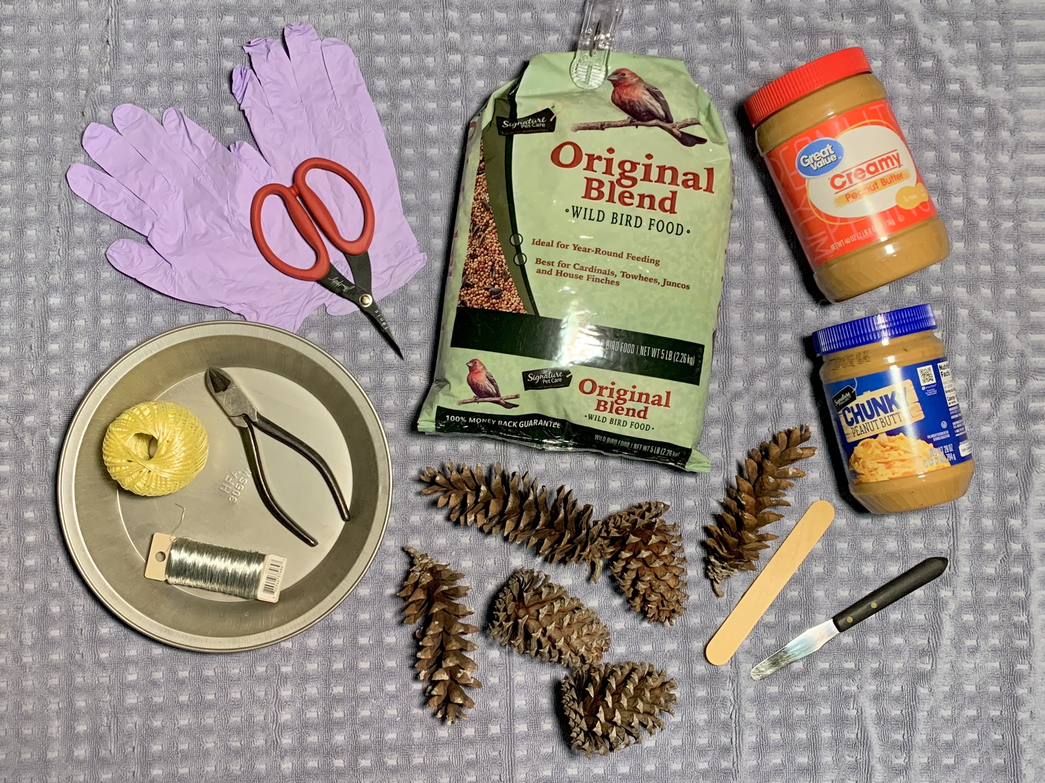 Pine Cone Bird Feeder – Charles County Public Library