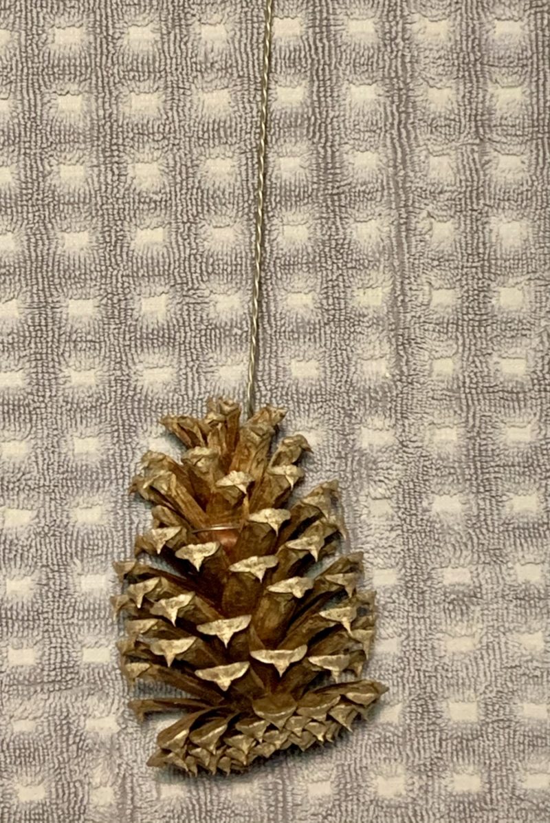 Pine Cone Bird Feeder – Charles County Public Library