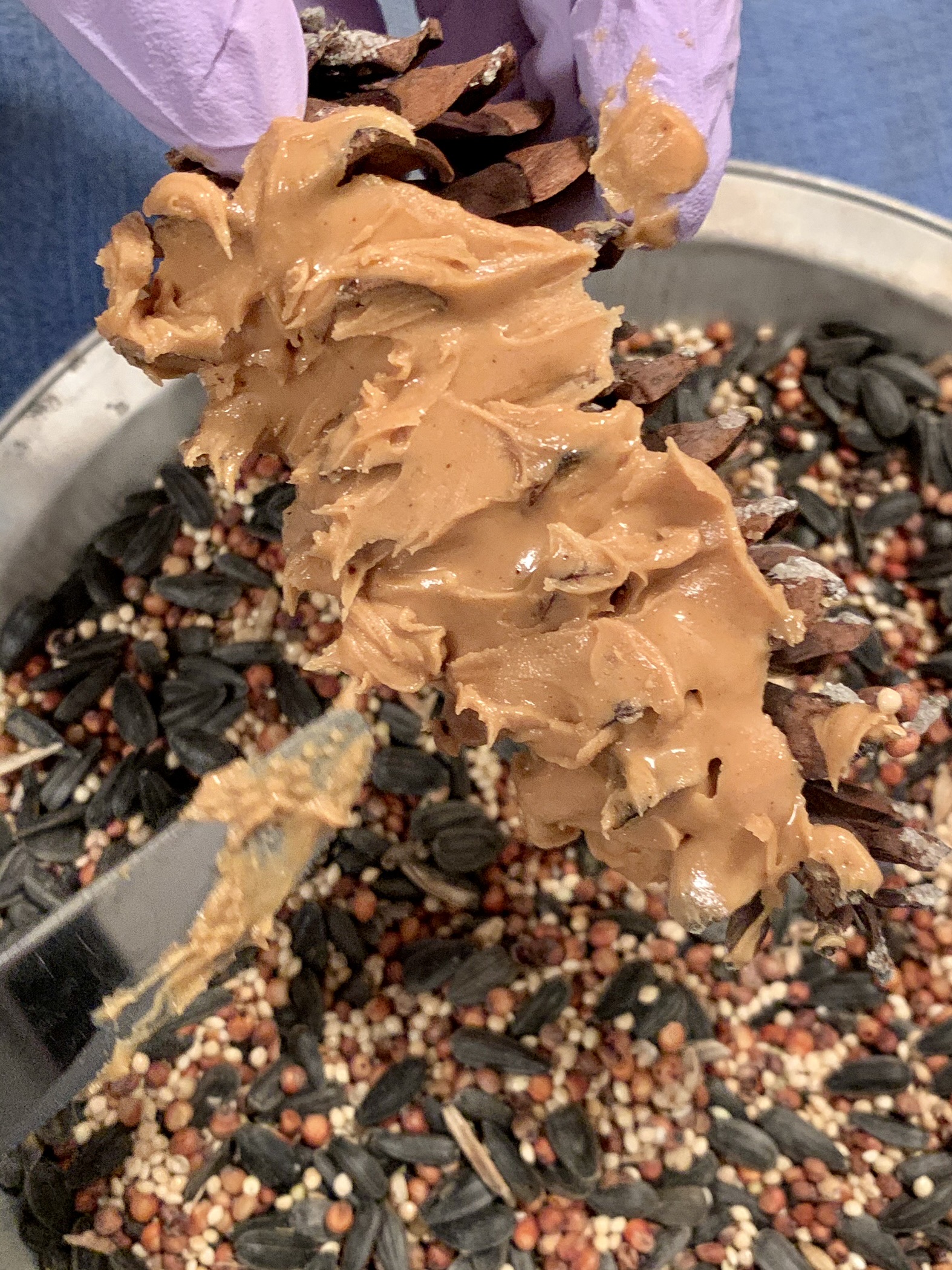Pine Cone Bird Feeder – Charles County Public Library