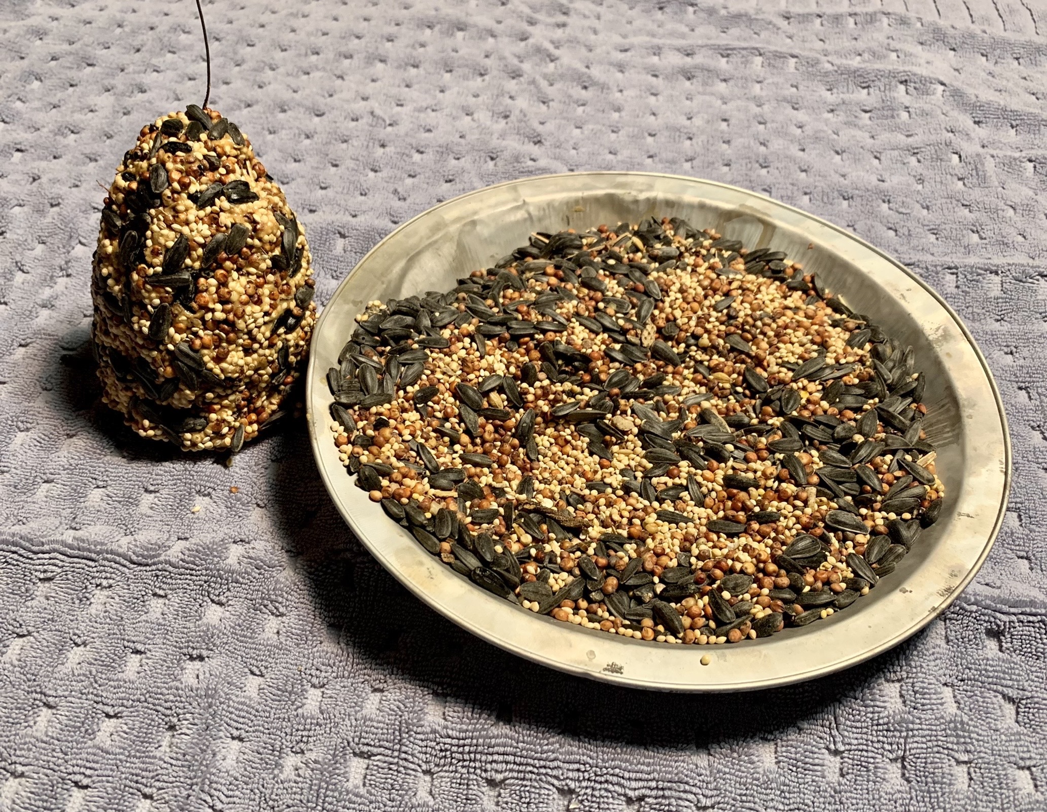 Pine Cone Bird Feeder – Charles County Public Library