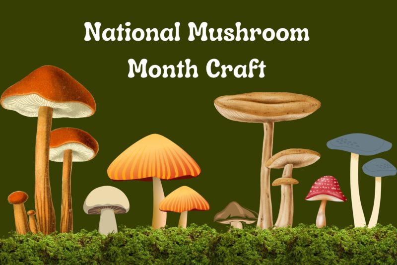 National Mushroom Month Craft – Charles County Public Library