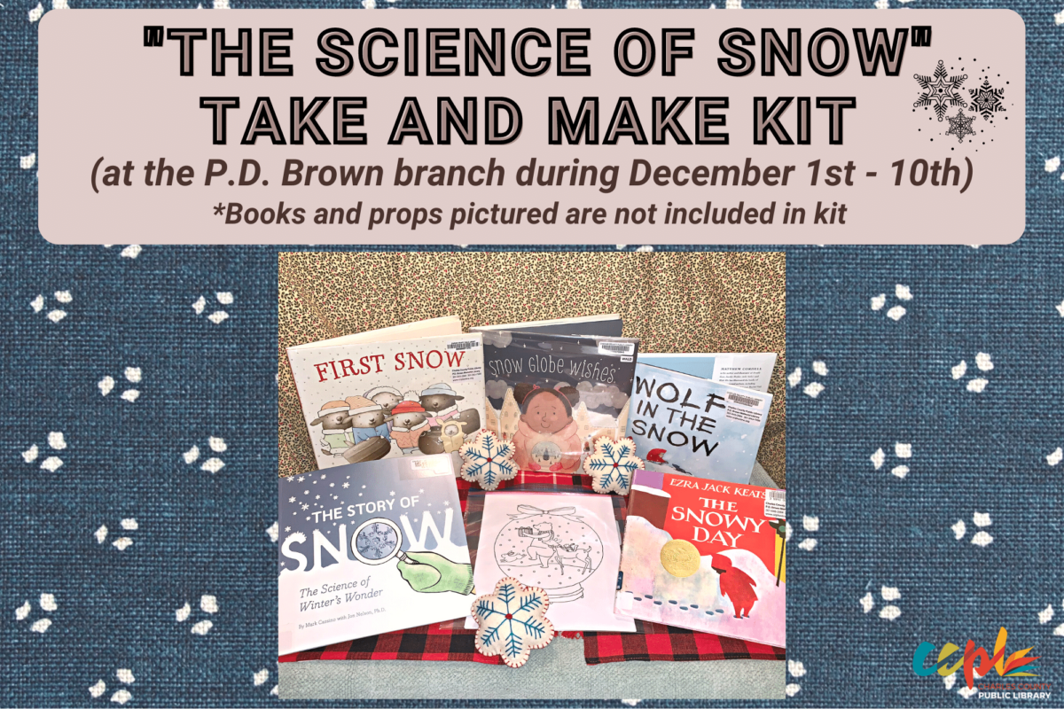*Program Feature* The Science of Snow Take and Make Kit – Charles ...