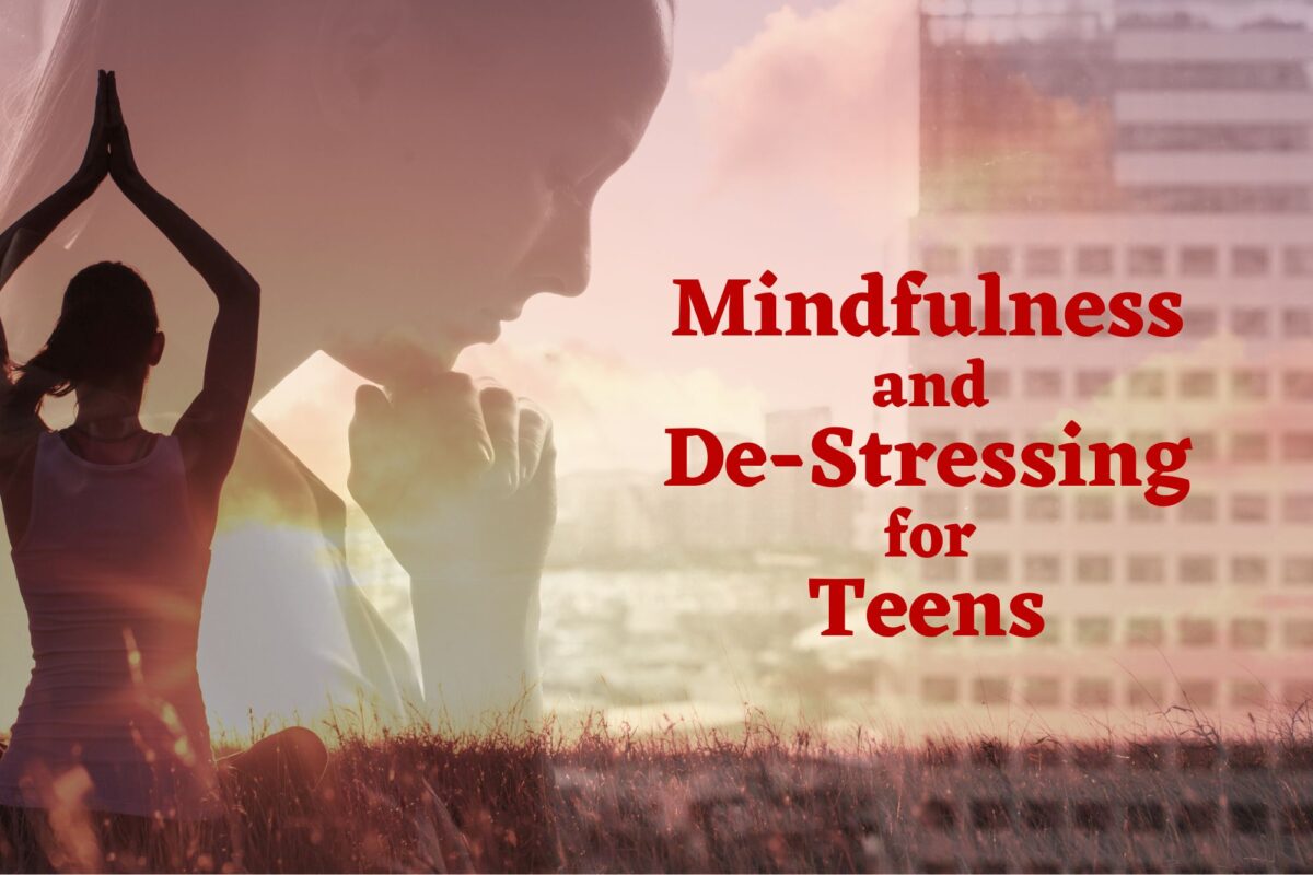 CCPL Staff Picks: Mindfulness and De-Stressing for Teens – Charles ...