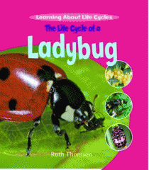 Let’s Get Buggy: Ladybugs! – Charles County Public Library