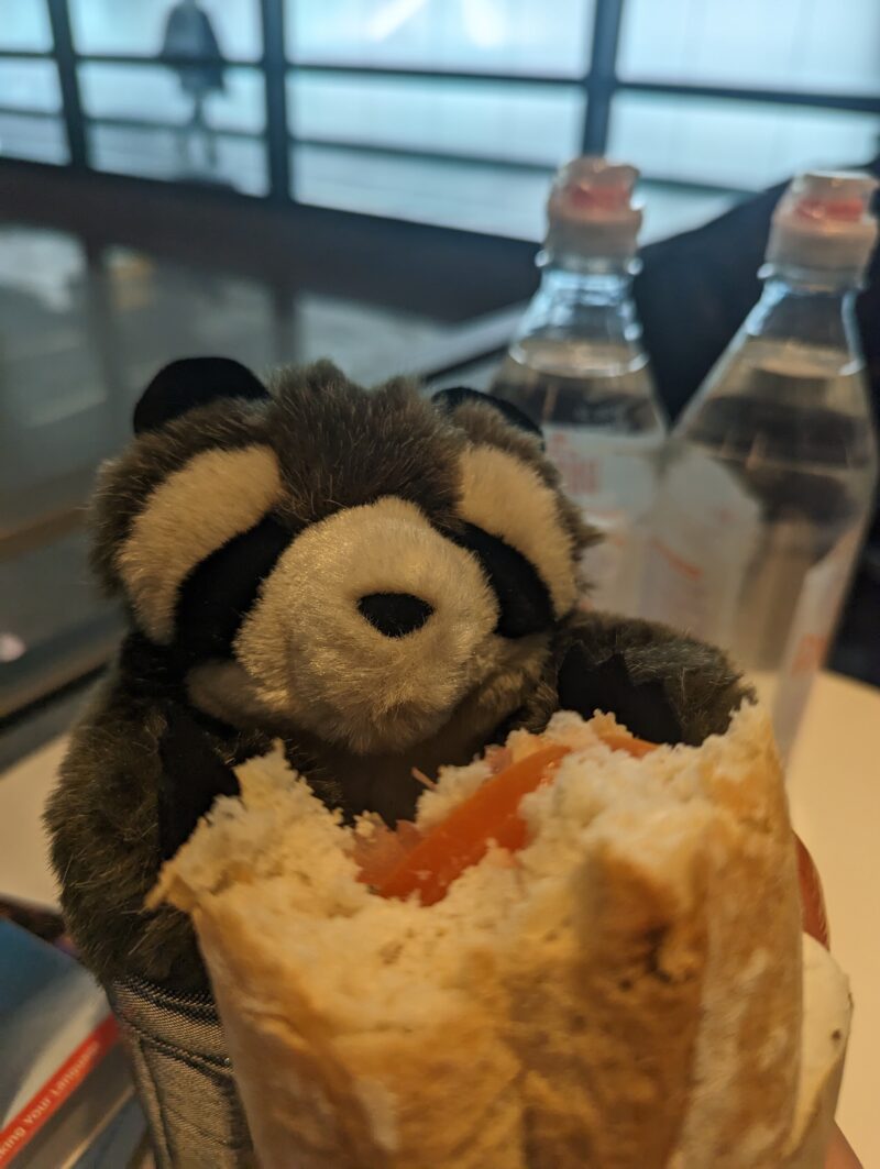 Where in the World is Robbie the Raccoon? – Charles County Public Library