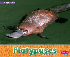 Critter Corner: The Platypus – Charles County Public Library