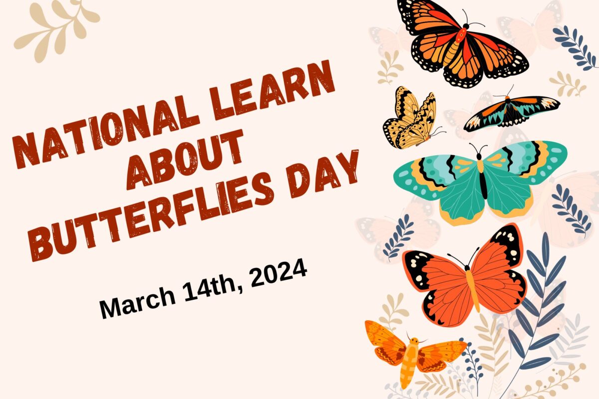 National Learn about Butterflies Day – Charles County Public Library
