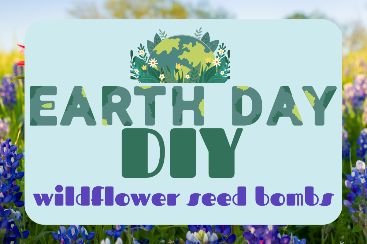 Earth Day DIY: Wildflower Seed Bombs – Charles County Public Library