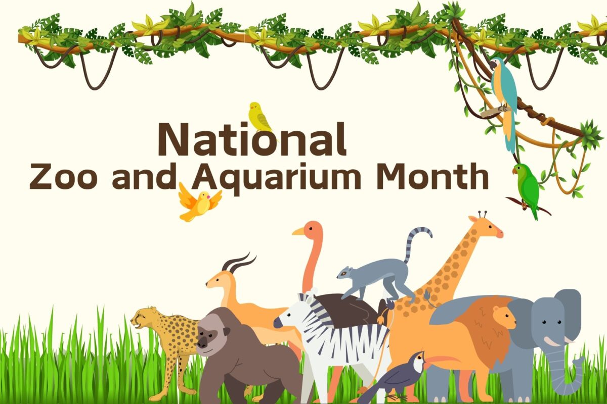 National Zoo and Aquarium Month – Charles County Public Library