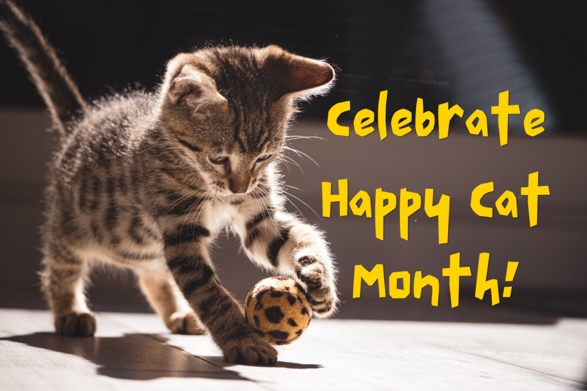 Celebrate Happy Cat Month! – Charles County Public Library