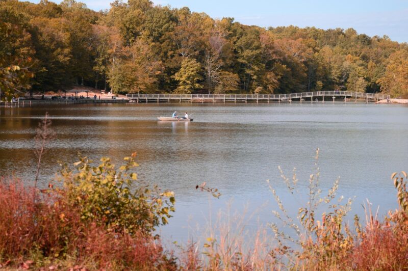 Take a Walk – Charles County Public Library