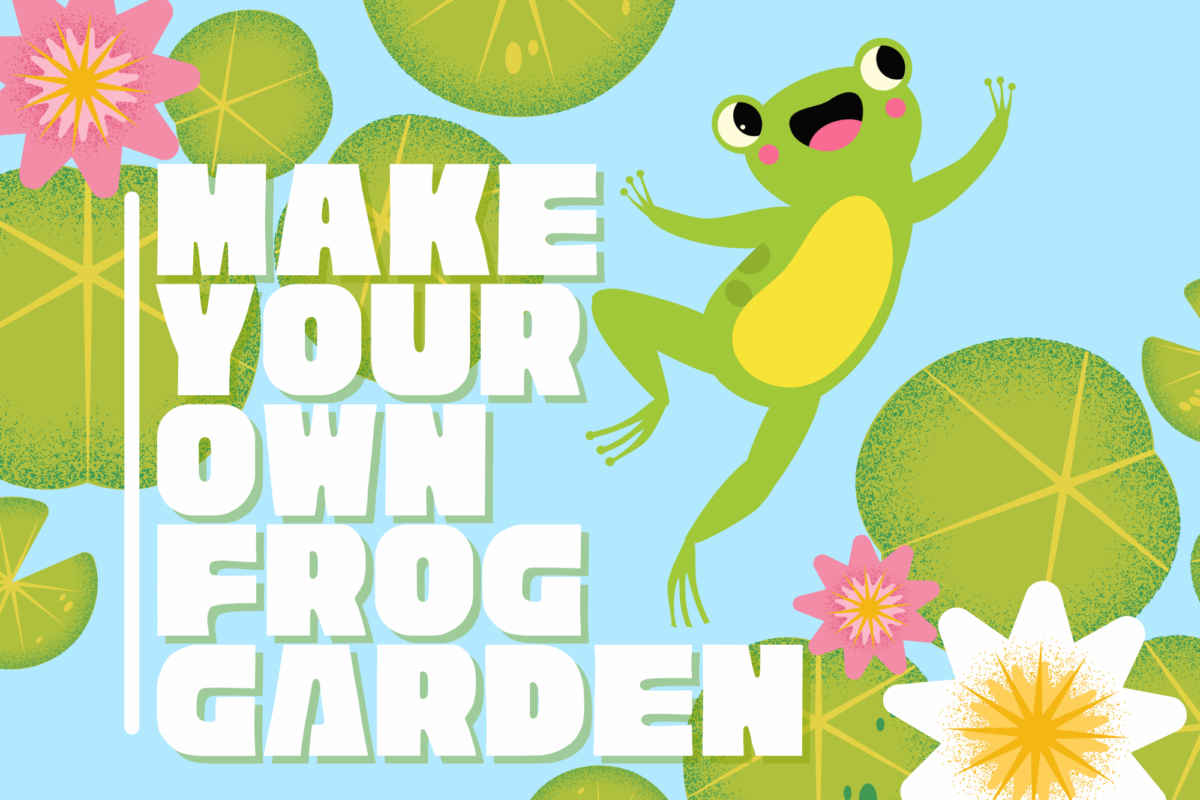 Make Your Own Frog Garden – Charles County Public Library