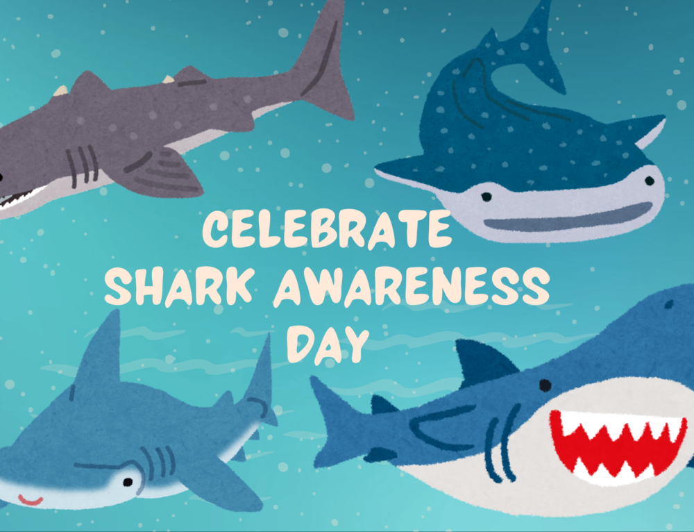 STEM Club: Musical Fractions – Charles County Public Library